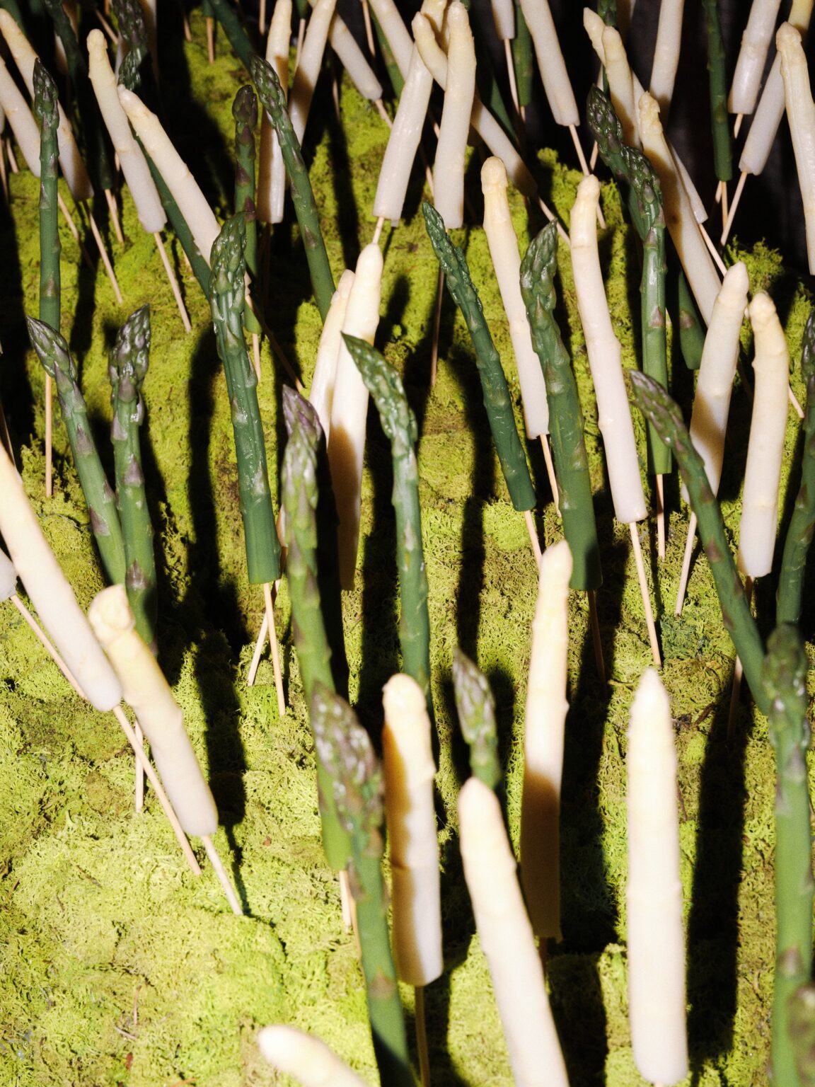 Laila Gohar Case Studies: Represented by Nevermind